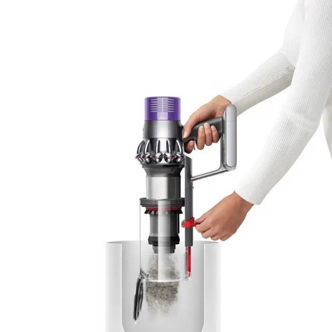 V10 dyson animal store