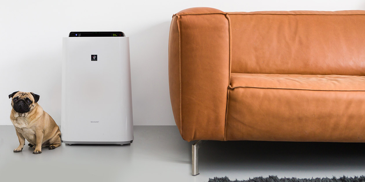 Sharp KC-D50EUW oczyszczacz powietrza - recenzja, opinie w LoveAir.pl